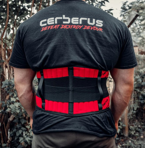 Support Belts for Back Pain | Comfort & Relief Collection – EliteFTS