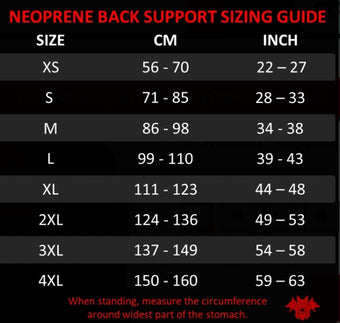 Support Belts for Back Pain | Comfort & Relief Collection – EliteFTS